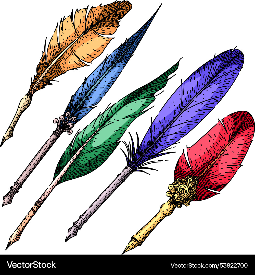 Quill pen set sketch hand drawn Royalty Free Vector Image