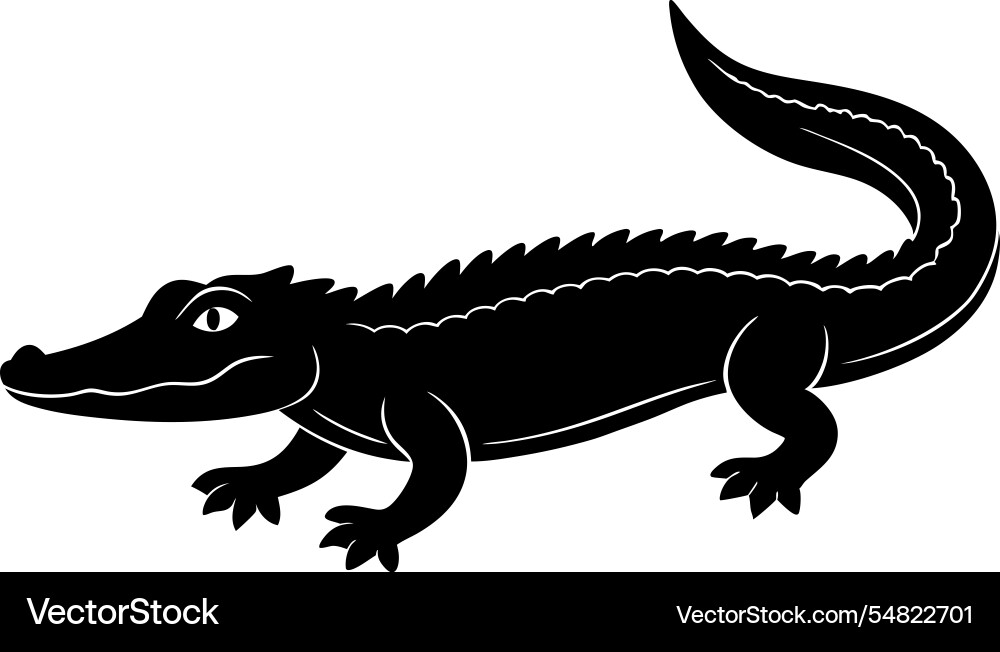 Alligator Royalty Free Vector Image - VectorStock