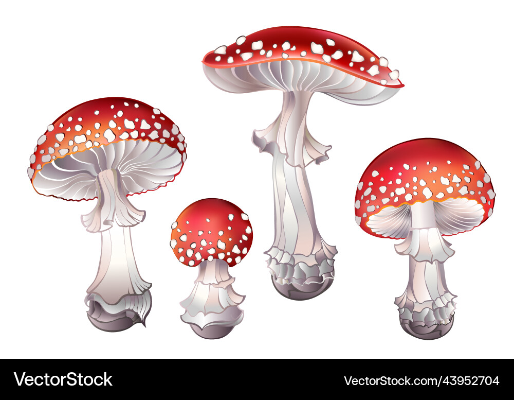 Set of red fly agaric Royalty Free Vector Image