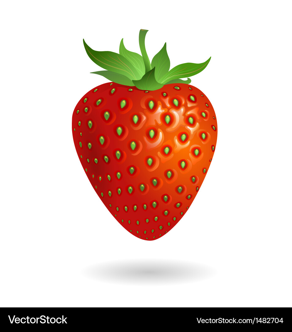 Strawberry Royalty Free Vector Image - VectorStock
