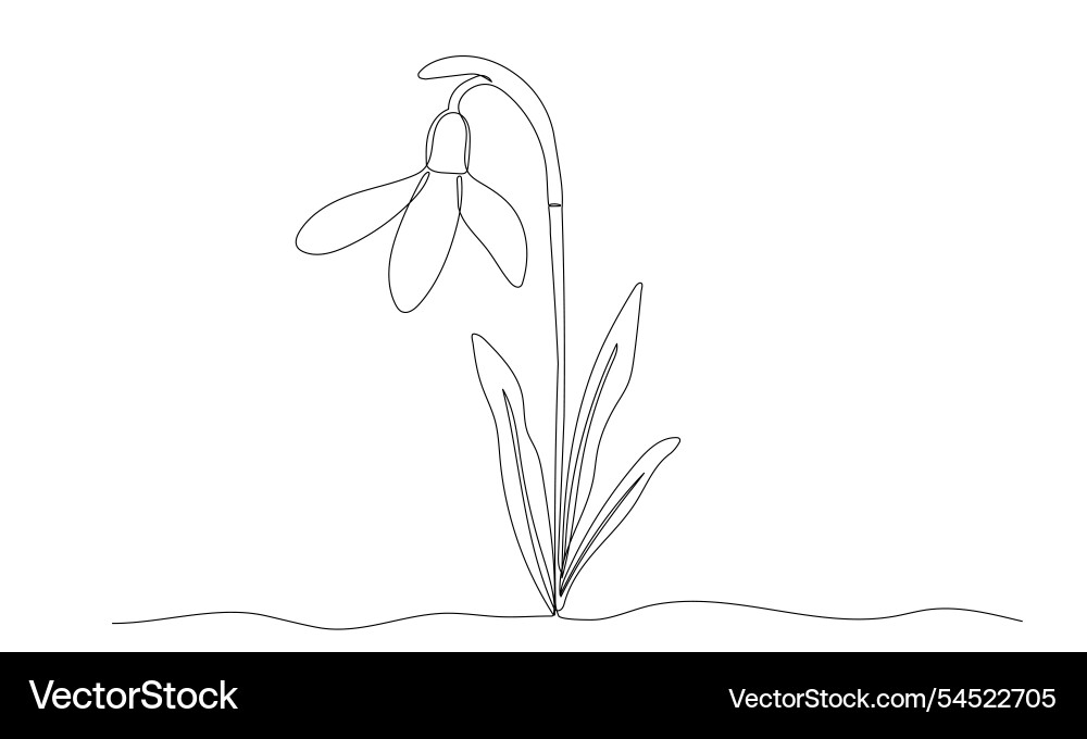 Snowdrop one continuous line hand Royalty Free Vector Image