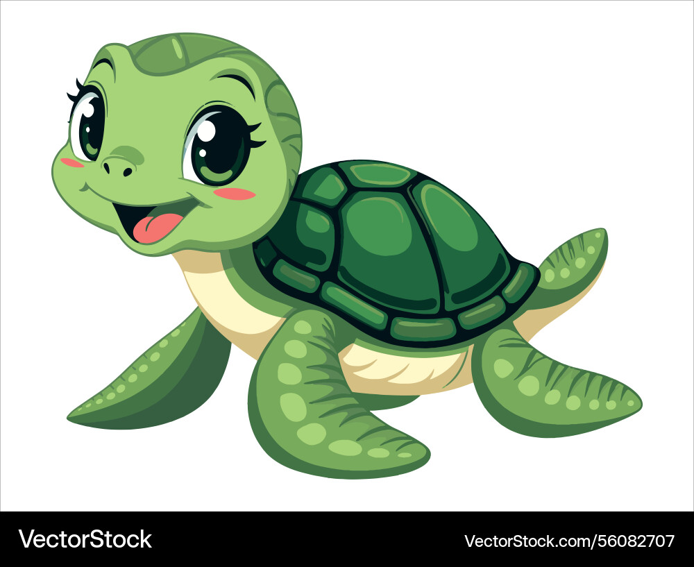 Green Sea Turtle Drawing