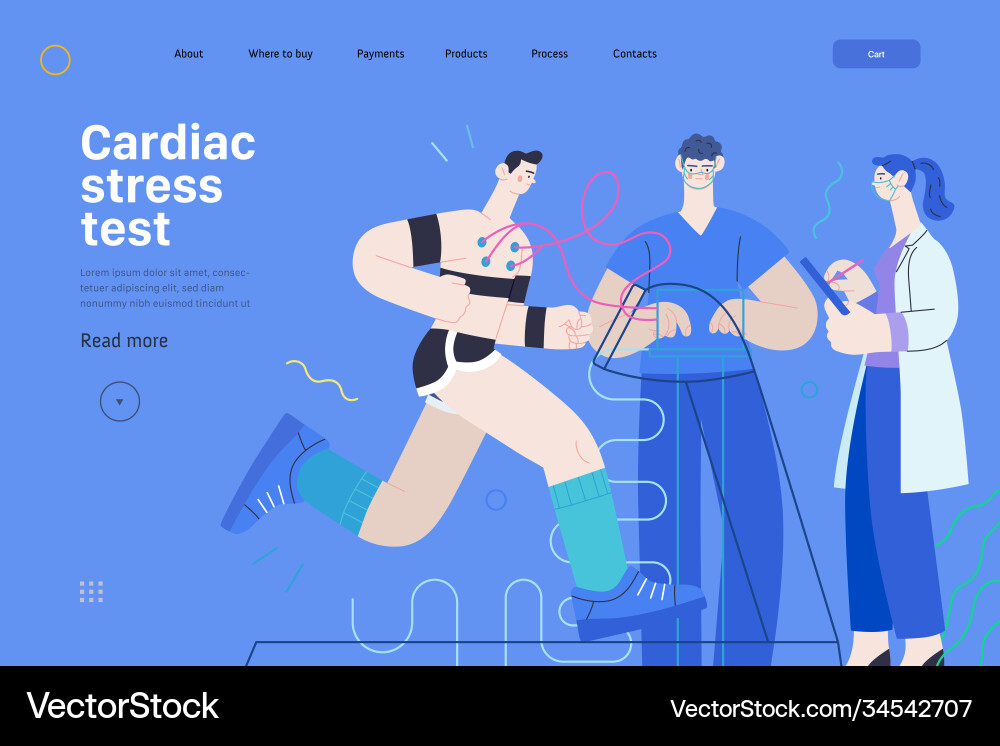 Cardiac Stress Test Procedure Royalty Free Vector Image