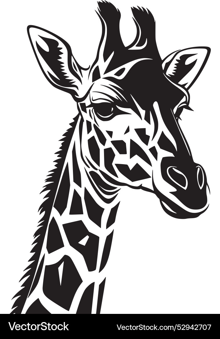 Giraffe - black and white Royalty Free Vector Image
