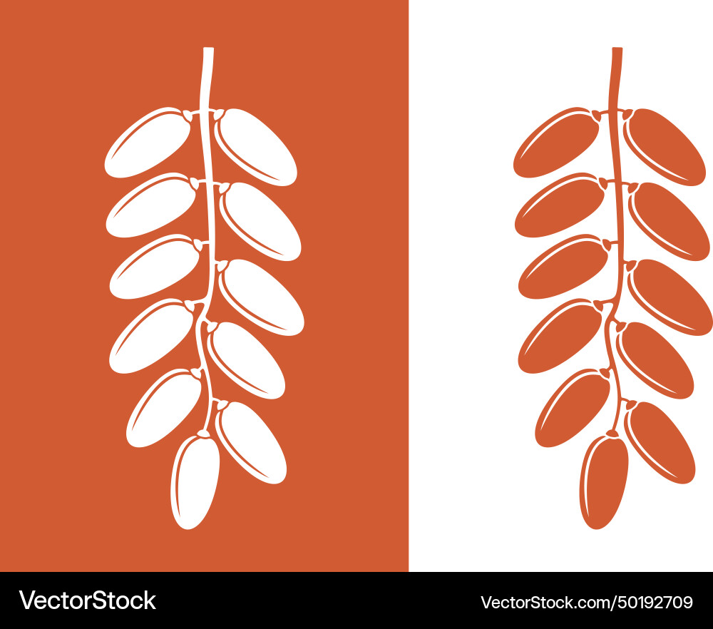 Date fruit Royalty Free Vector Image - VectorStock
