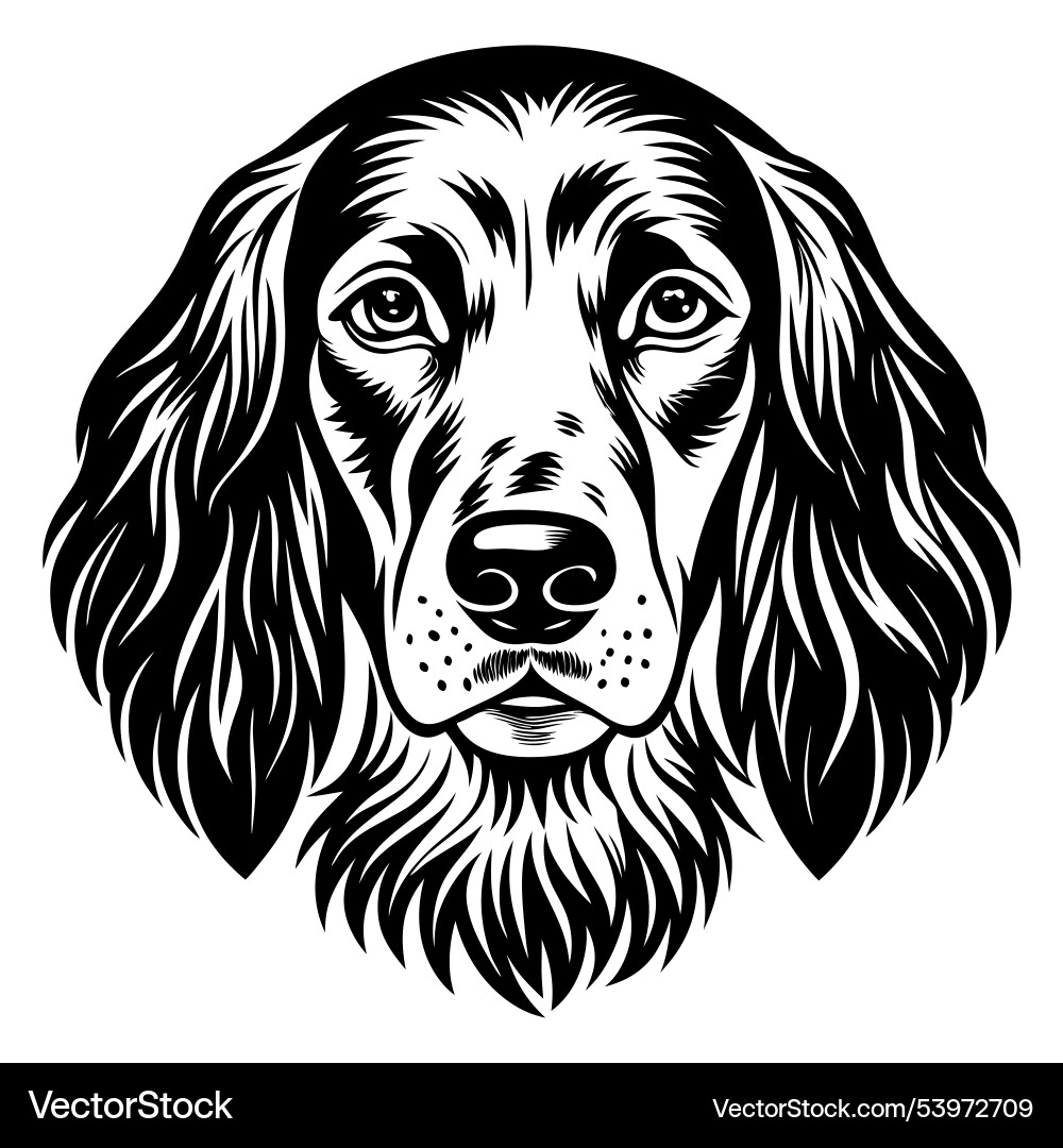 Englisch setter dog head icon schwarz und weiß logo