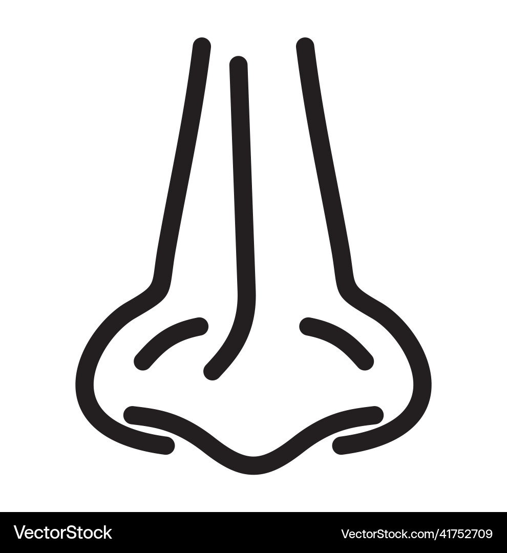 Nose Royalty Free Vector Image - VectorStock