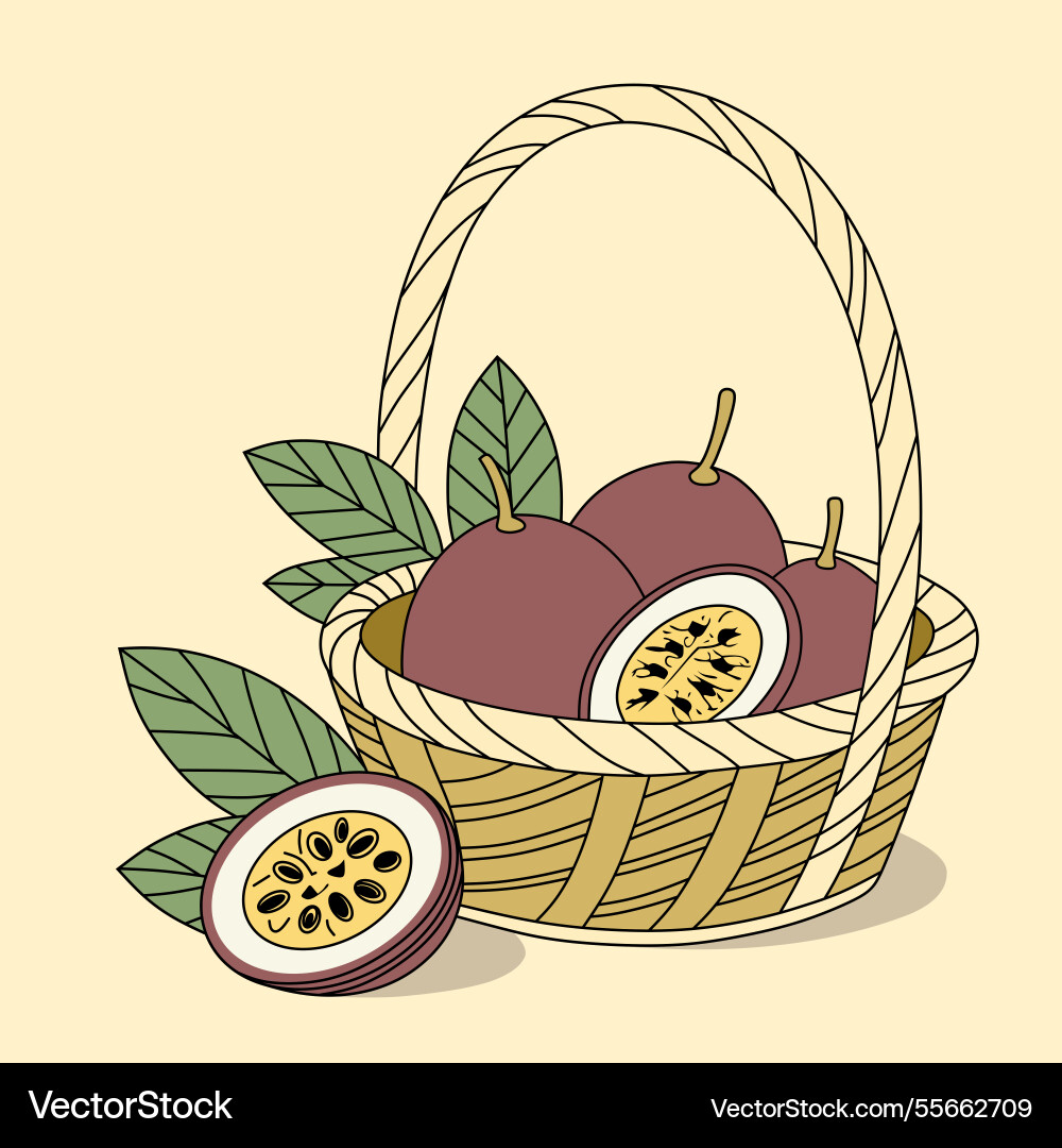 Passion fruit in a basket Royalty Free Vector Image