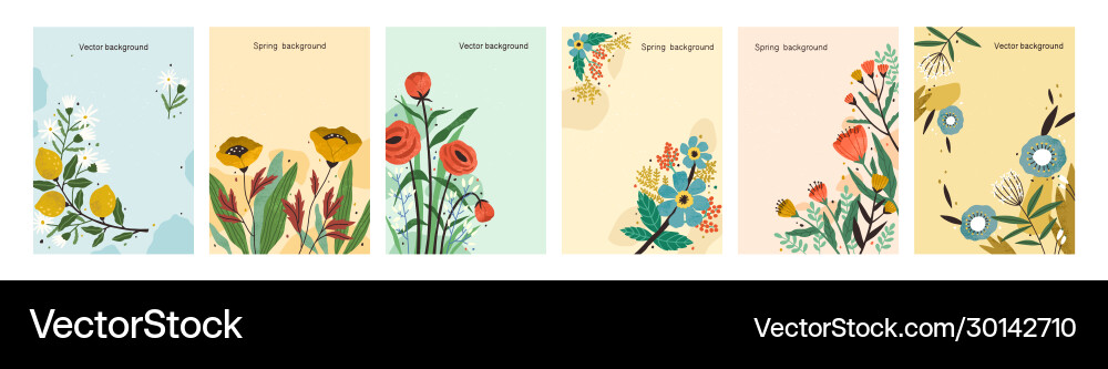 Colorful Spring Floral Backgrounds Royalty Free Vector Image