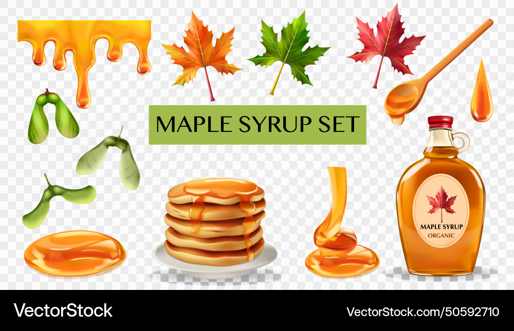 Maple syrup set Royalty Free Vector Image - VectorStock