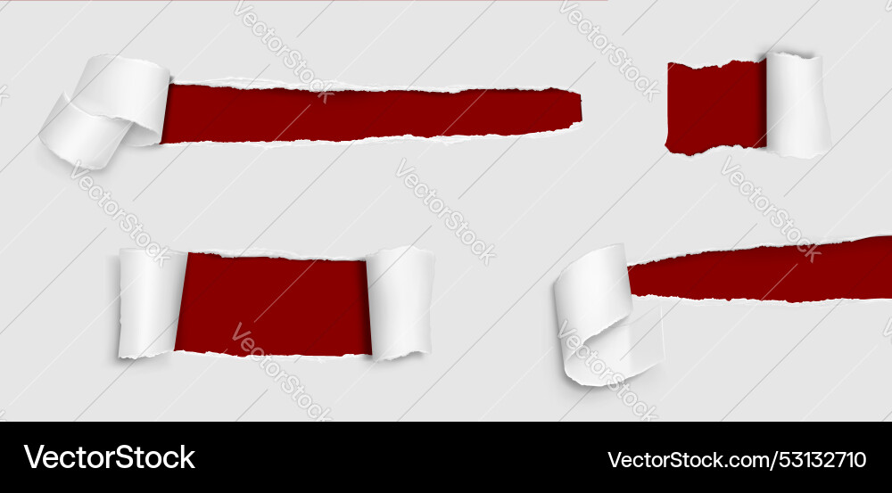 Torn paper roll white rip page edge with hole Vector Image