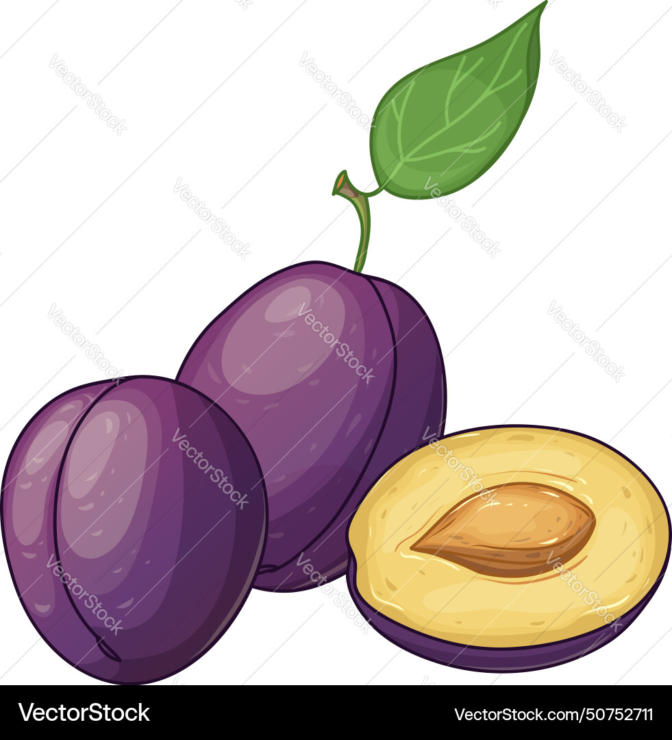 Plum Royalty Free Vector Image - VectorStock