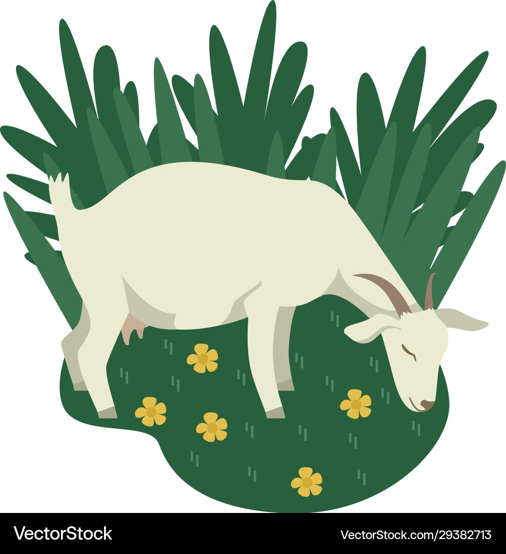 Farming today a white goat grazing on green Vector Image