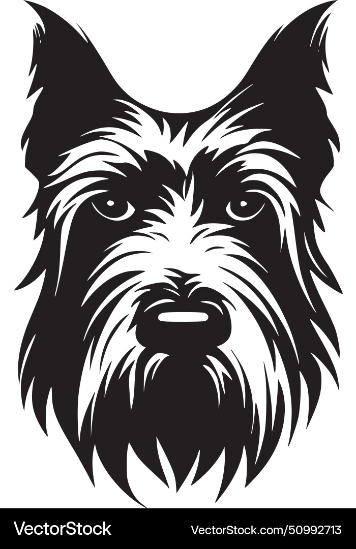 Scottish terrier - high quality logo ideal Vector Image