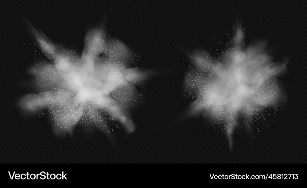 White powder explosion isolated on transparent Vector Image
