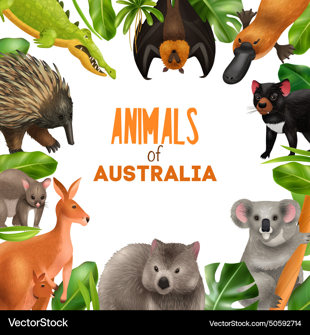 Australian animals frame composition Royalty Free Vector