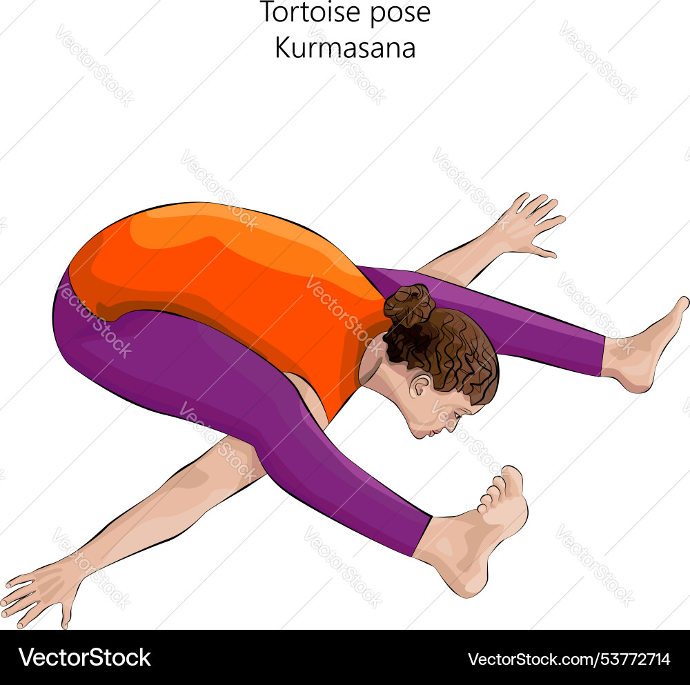 Kurmasana yoga pose Royalty Free Vector Image - VectorStock