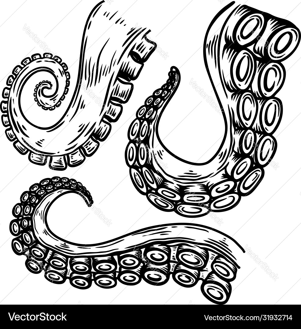 Set octopus squid tentacles in engraving style Vector Image