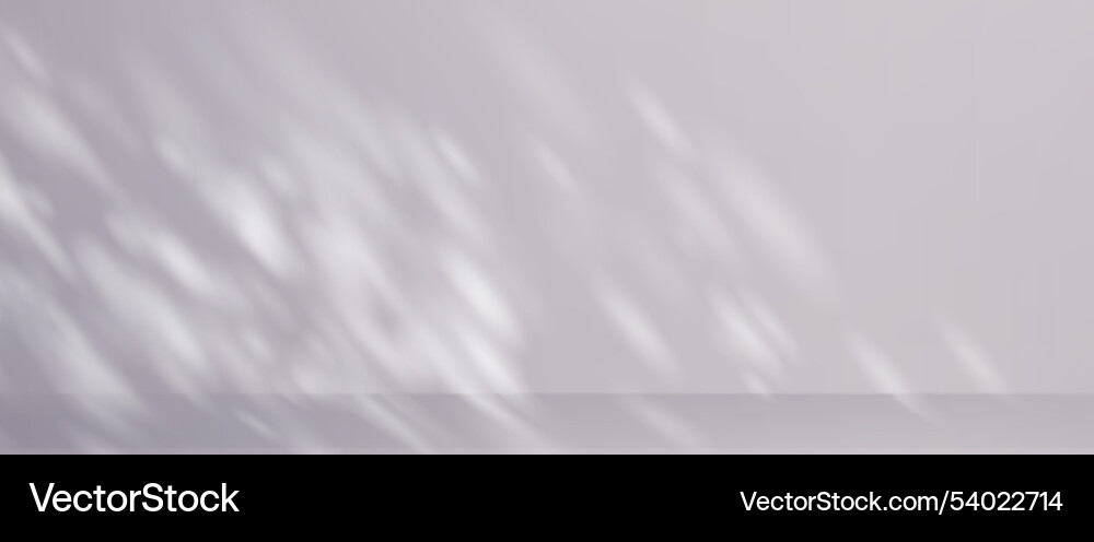 Sun light and shadow on wall overlay background Vector Image