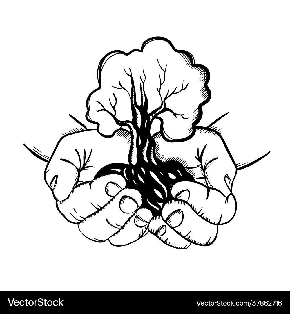 Hands holding tree in sketch style Royalty Free Vector Image