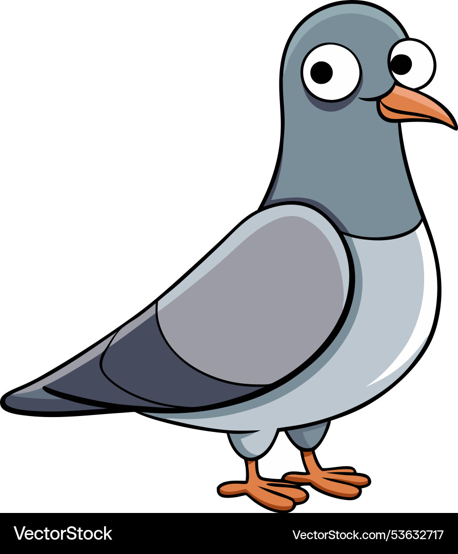 A pigeon Royalty Free Vector Image - VectorStock