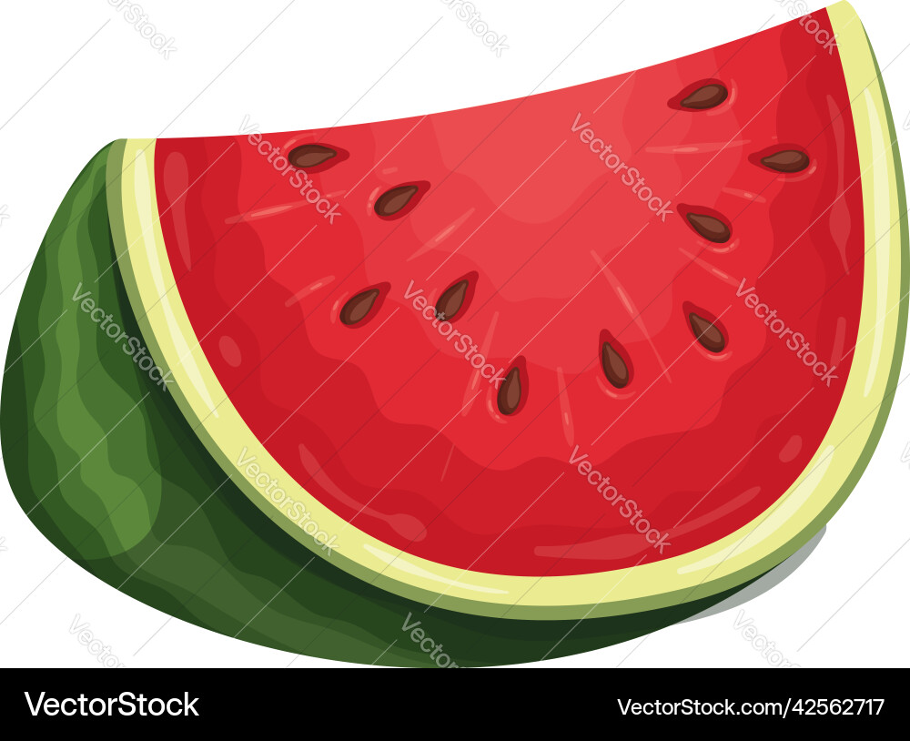 Fresh Watermelon Slice Royalty Free Vector Image