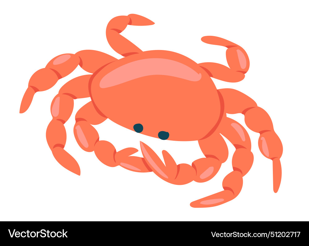 Red crab in flat design tropical underwater Vector Image