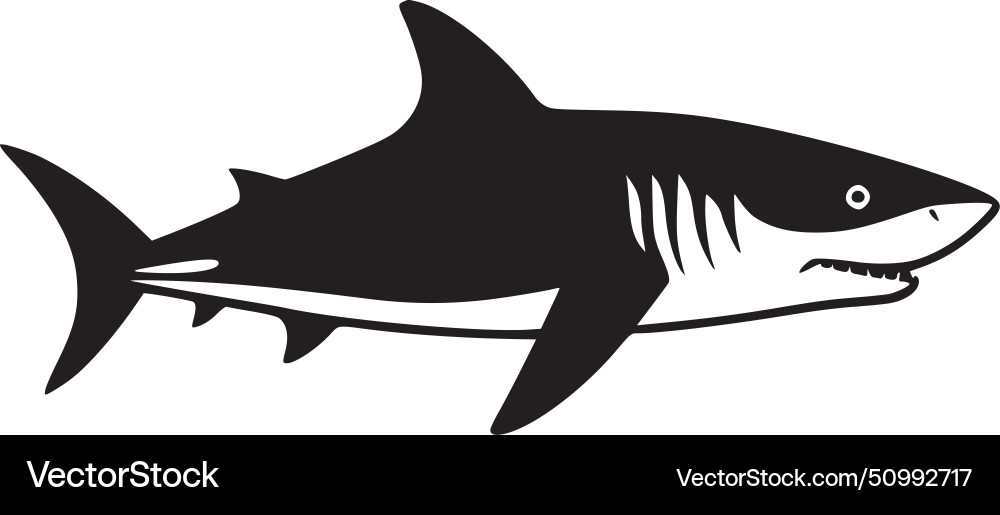 Shark - minimalist and simple silhouette Vector Image