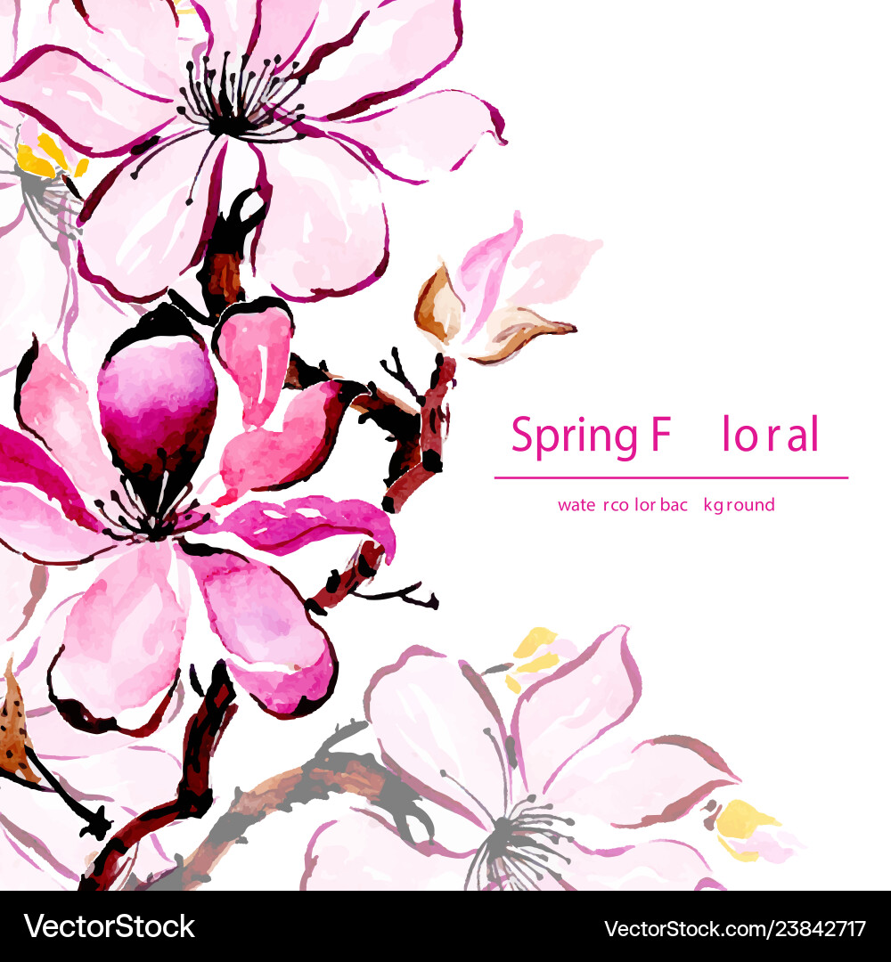 Watercolor spring floral background Royalty Free Vector