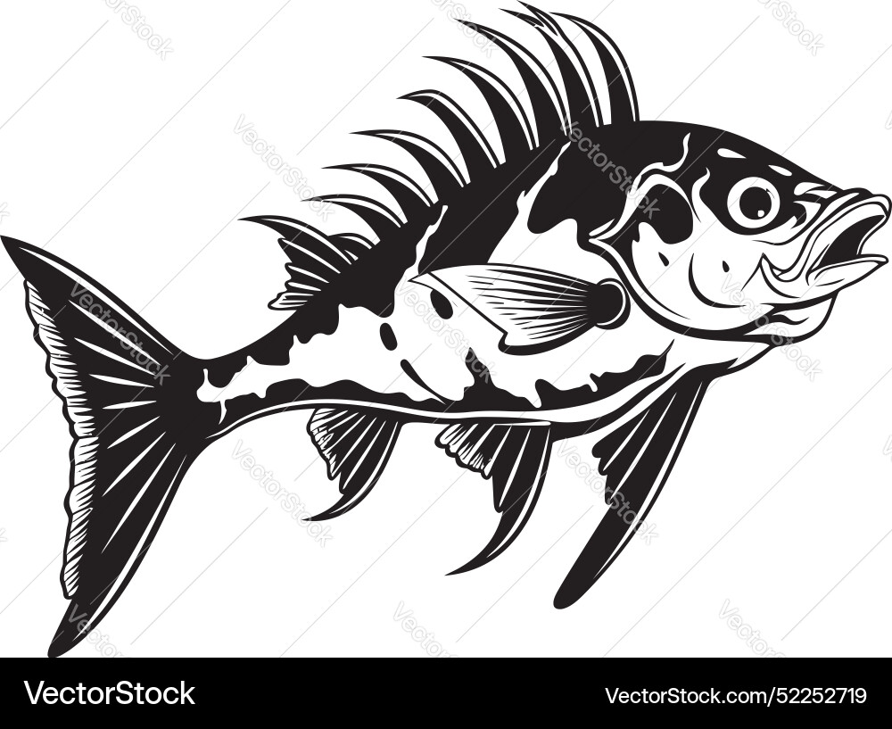Abyssal anatomy iconic black predator fish Vector Image