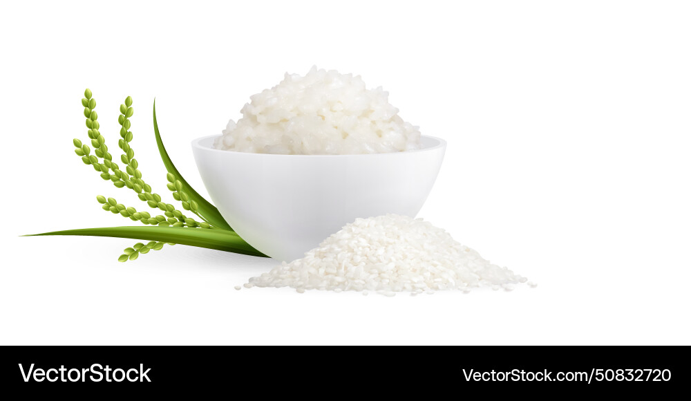 Rice product realistic composition Royalty Free Vector Image