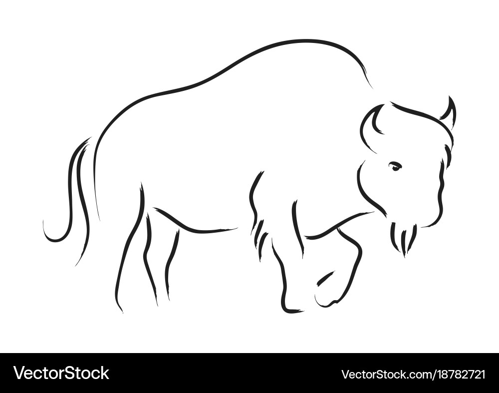Bison Royalty Free Vector Image - VectorStock