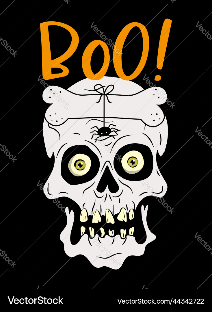 Boo - hand drawn skull and bone with spider Vector Image