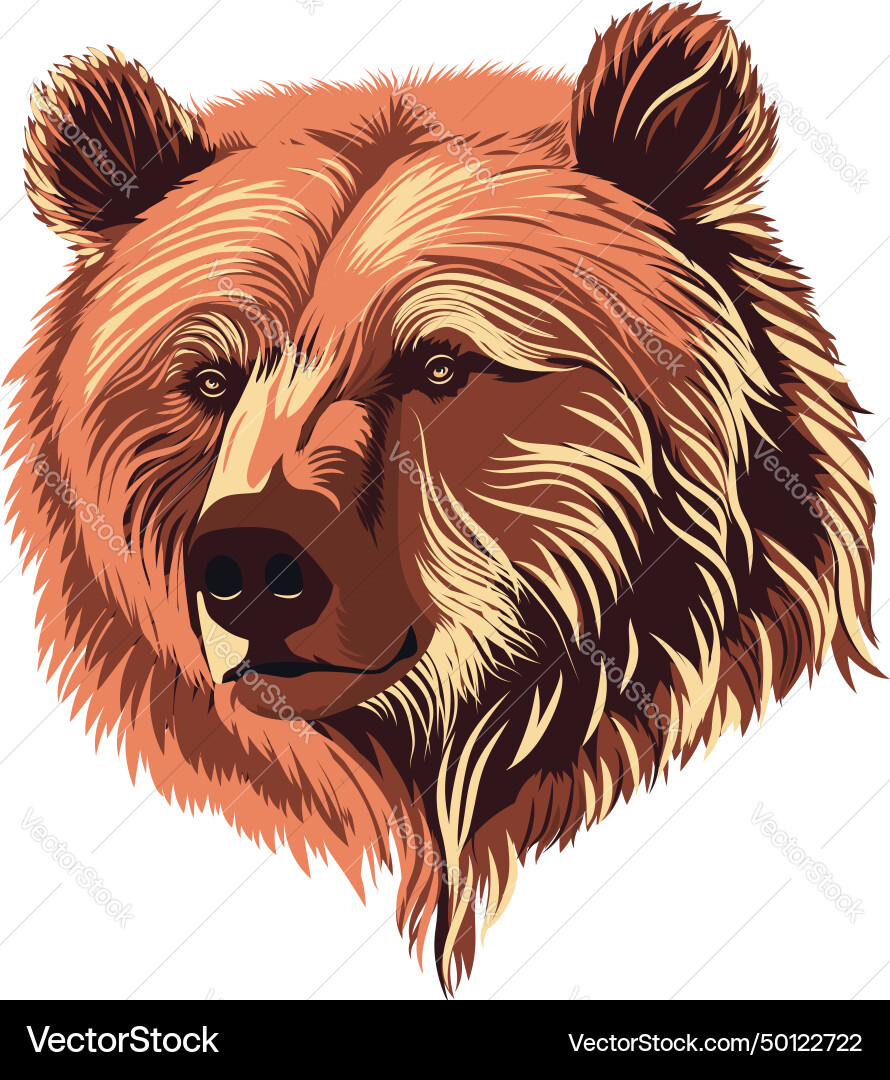 Brown bear head Royalty Free Vector Image - VectorStock