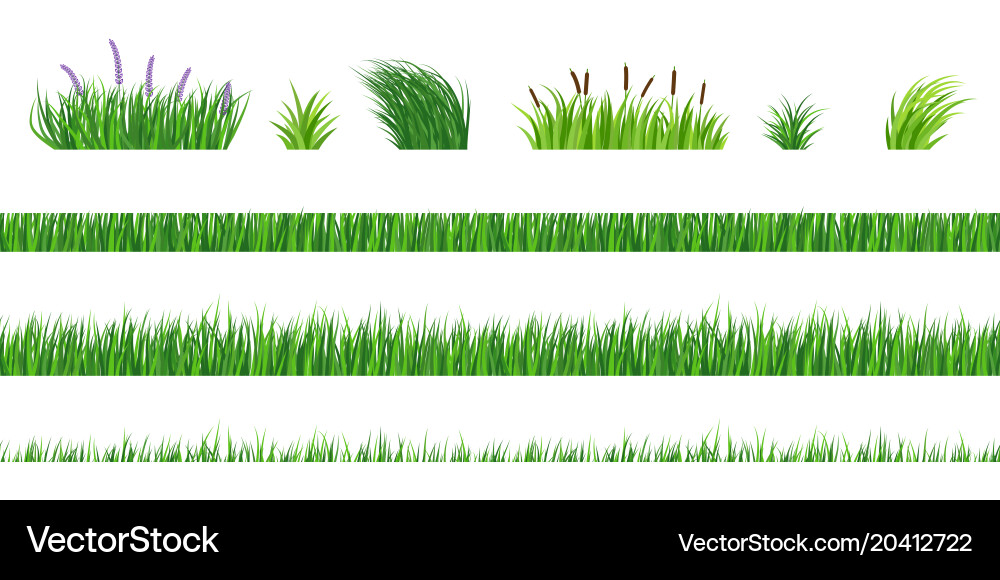 Grass elements Royalty Free Vector Image - VectorStock