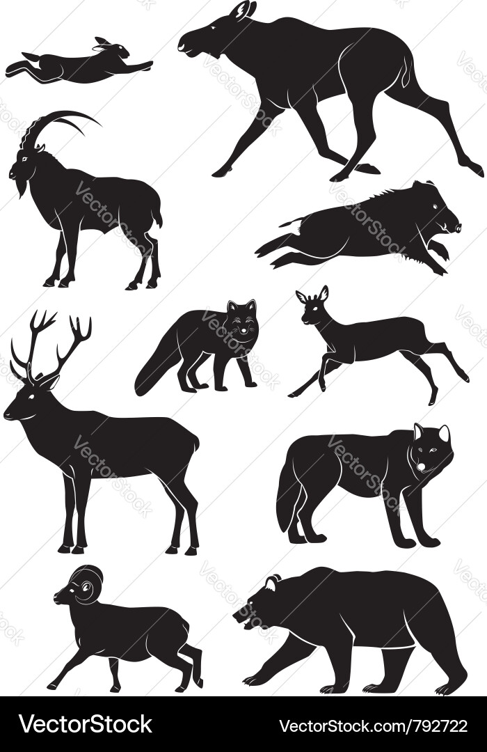 Bear Tail Vector Images (over 2,500)