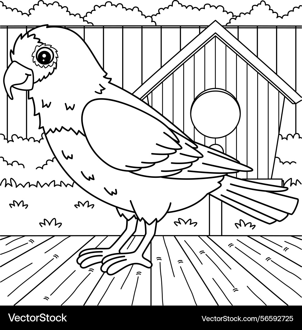 Bird conure coloring page for kids Royalty Free Vector Image