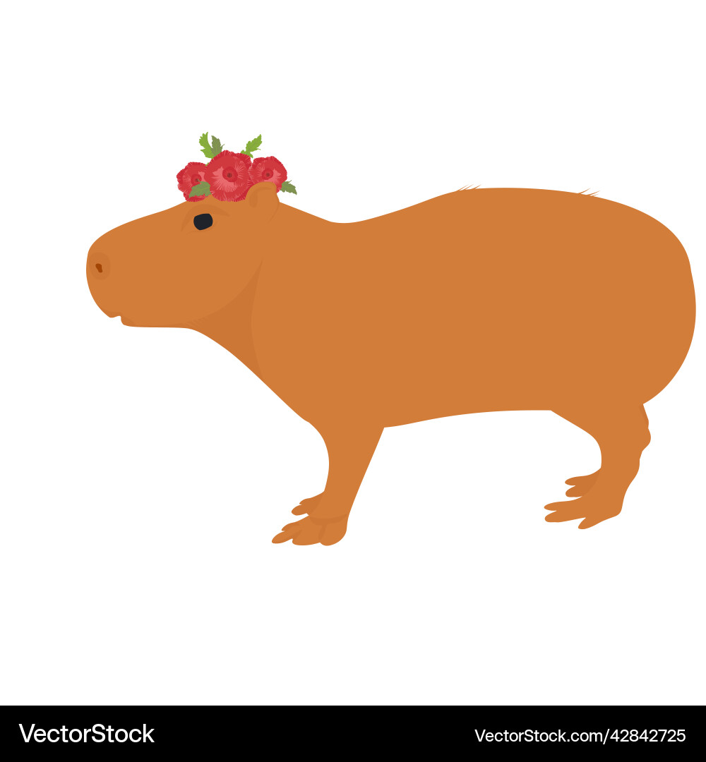 Capybara Royalty Free Vector Image - VectorStock