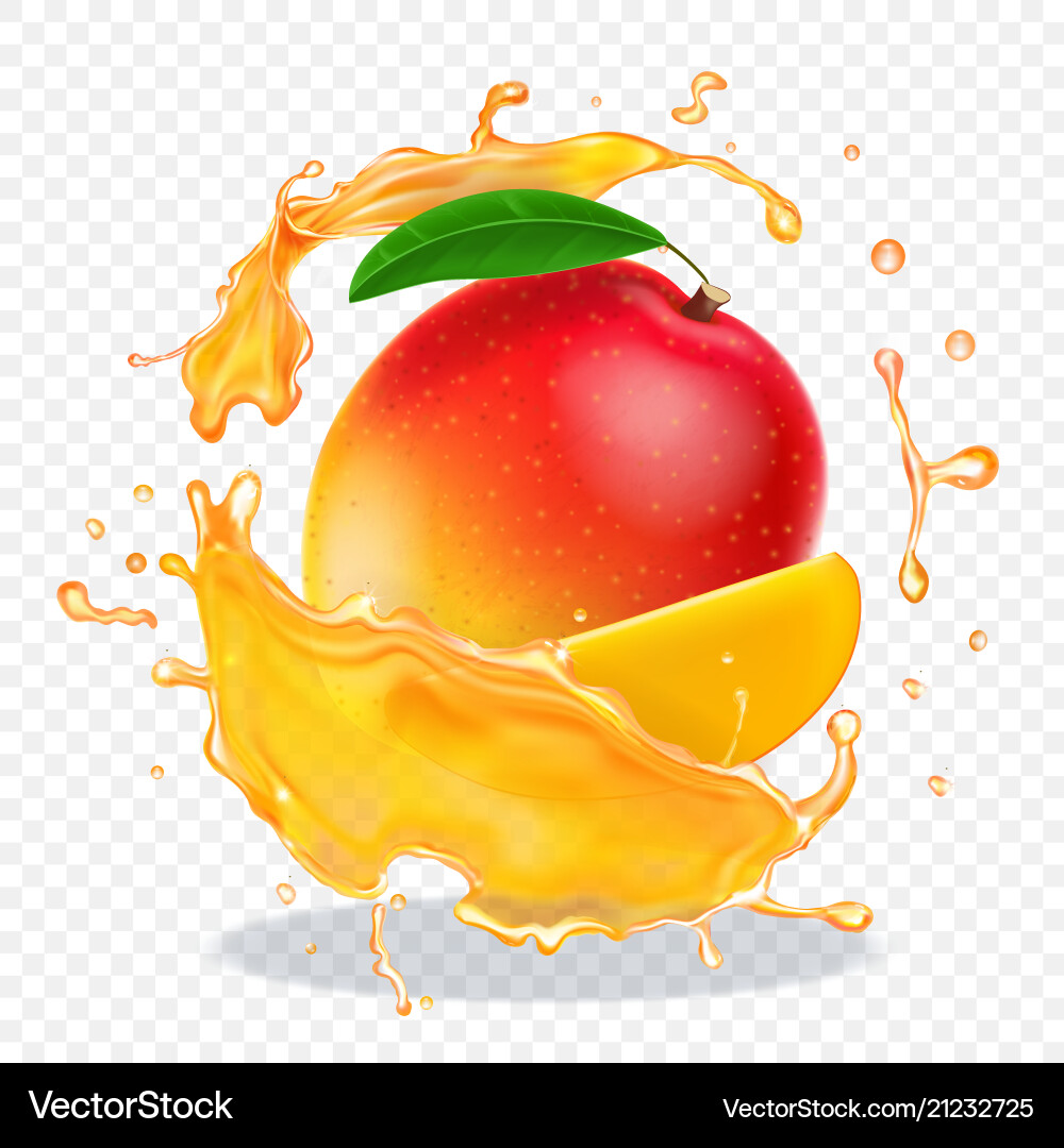 Mango juice splash realistic Royalty Free Vector Image