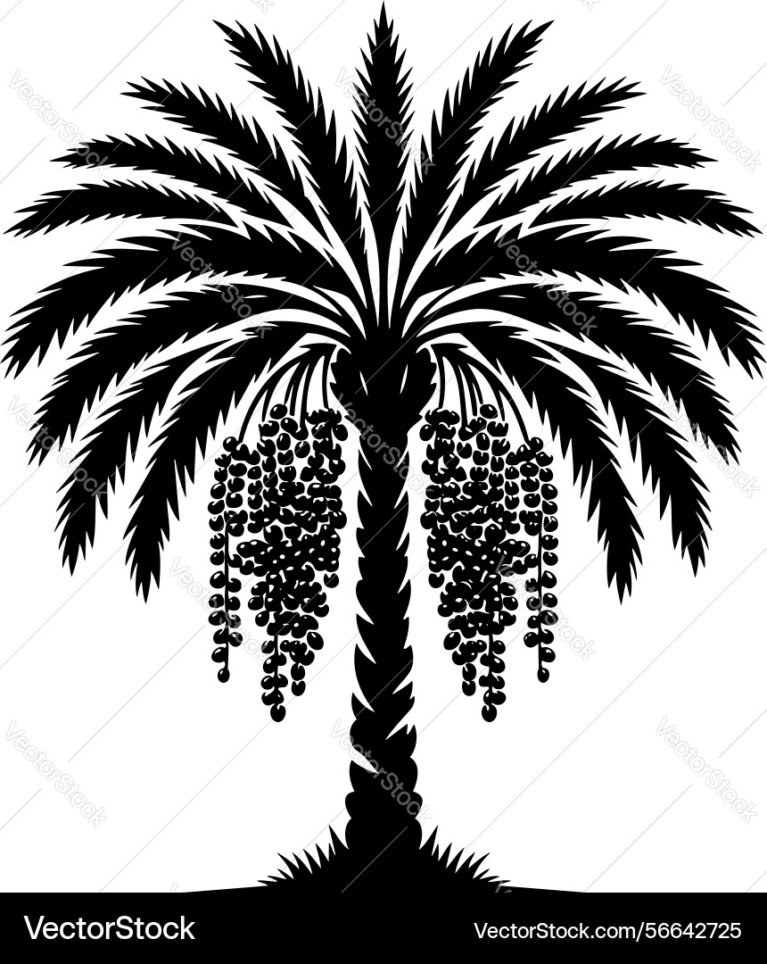 X-default date palm tree Royalty Free Vector Image