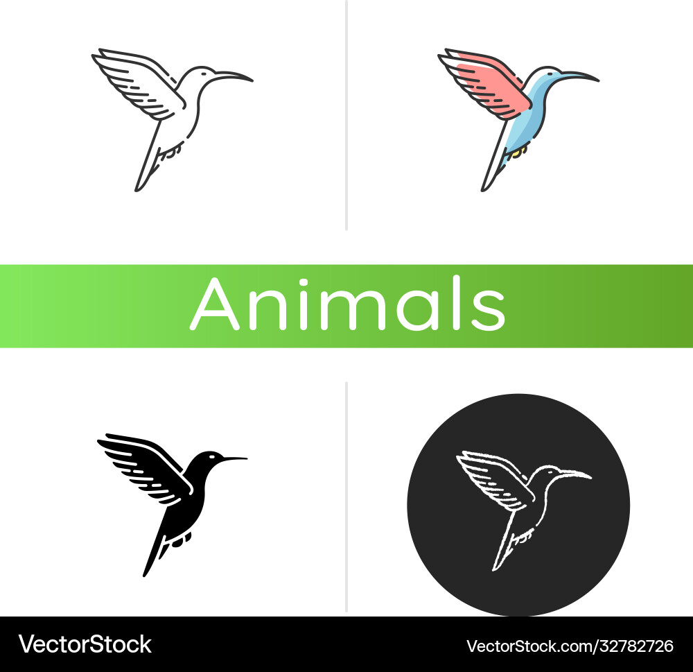 Hummingbird icon Royalty Free Vector Image - VectorStock
