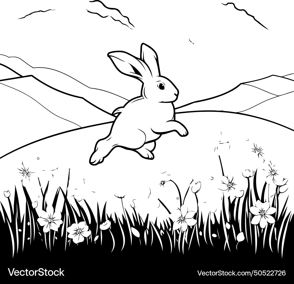 Rabbit running in the grass black and white Vector Image