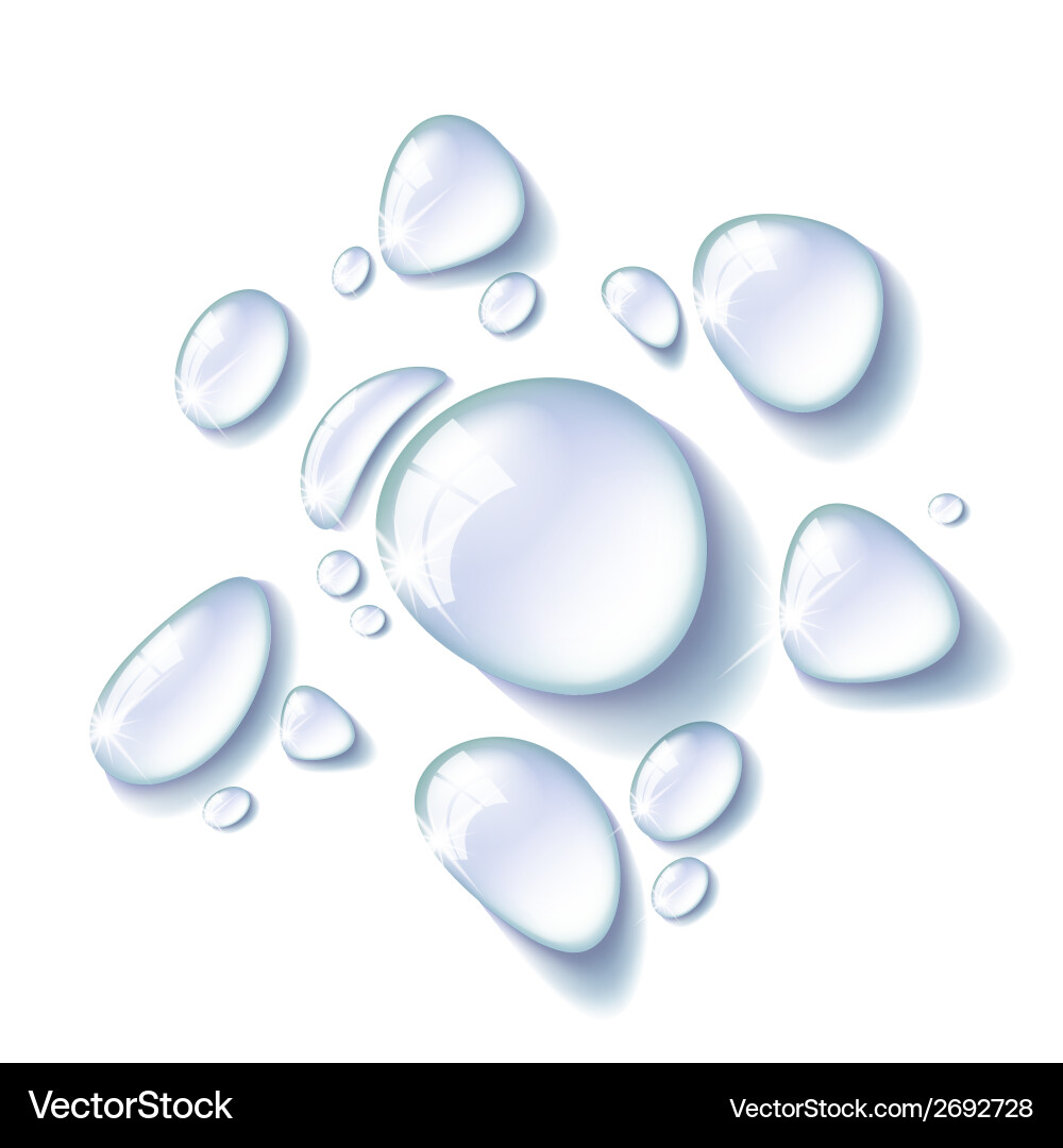 Transparent water drop Royalty Free Vector Image
