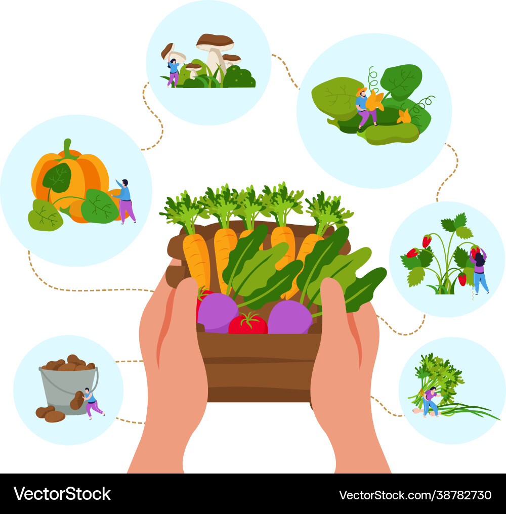 Harvesting hands flat composition Royalty Free Vector Image