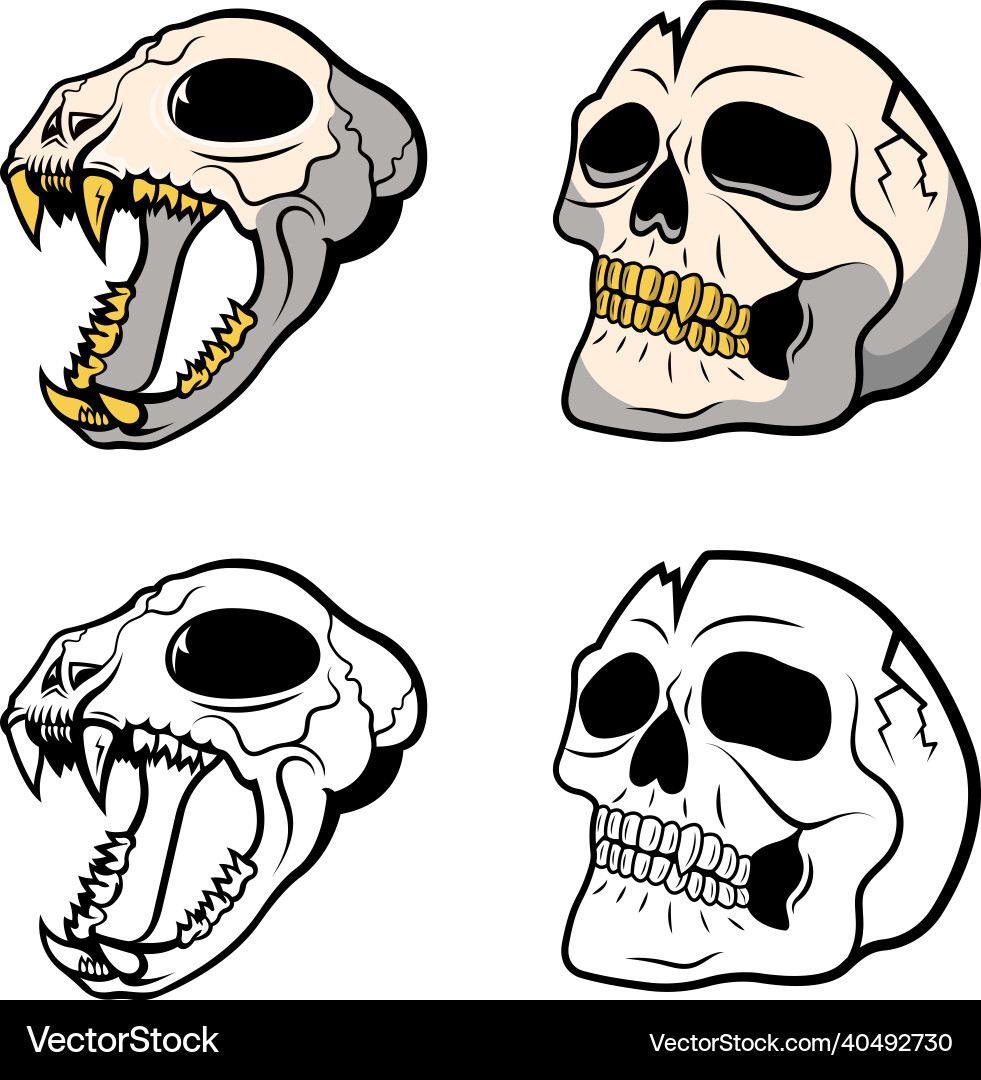 Skulls Royalty Free Vector Image - VectorStock