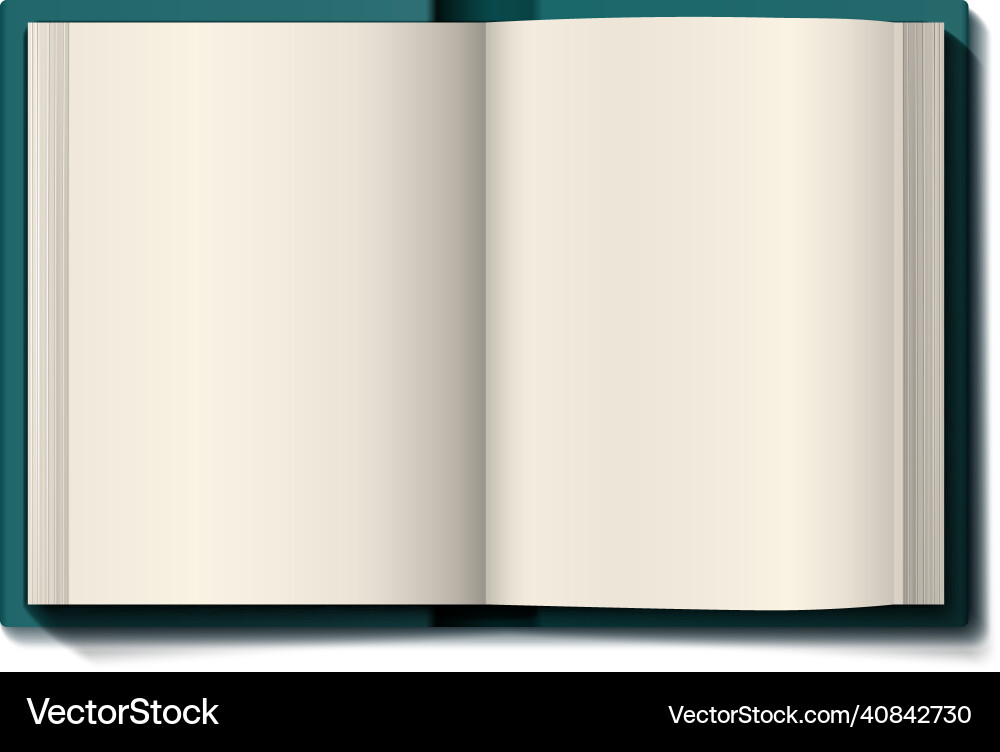 Two page spread mockup realistic open book top Vector Image