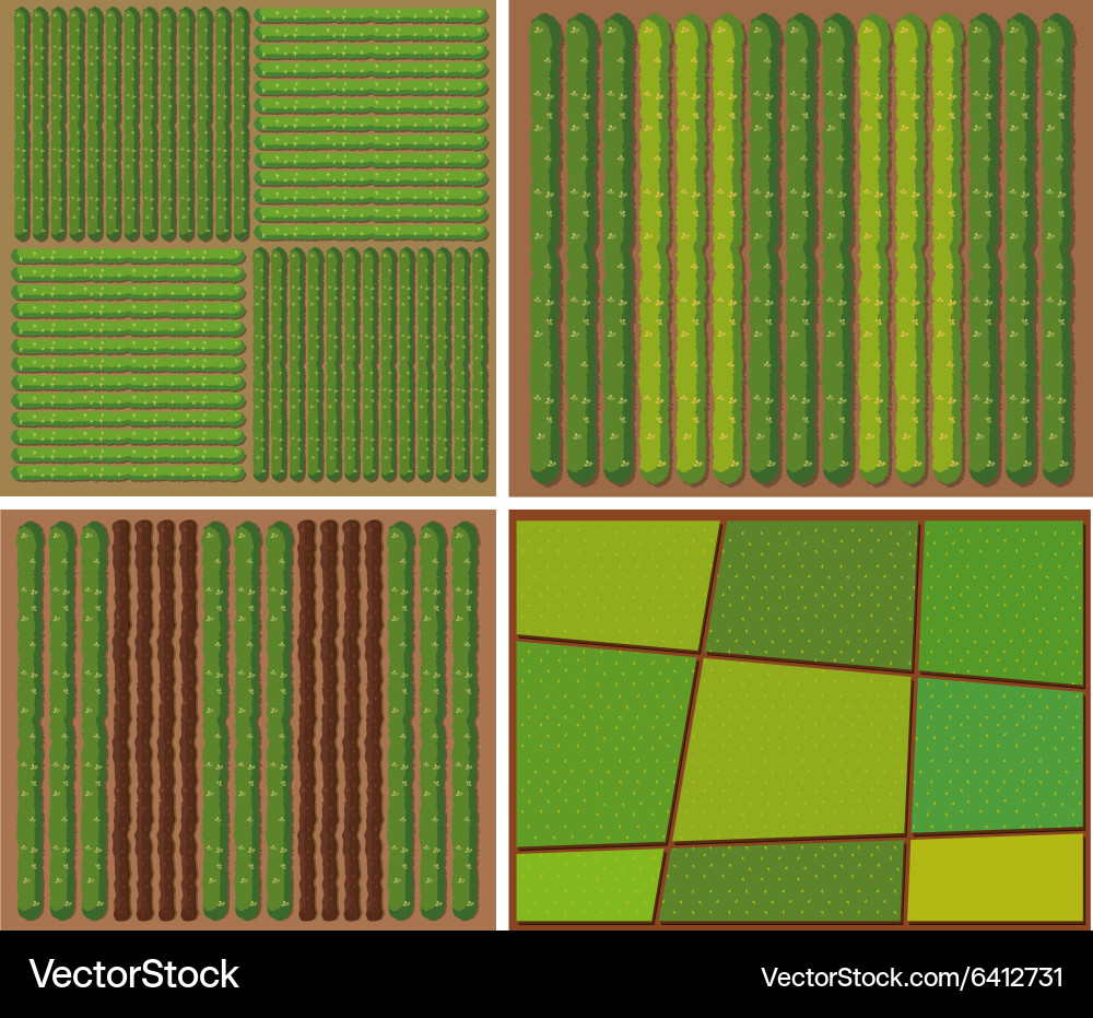 Agricultural Crop Pattern - Top View Royalty Free Vector