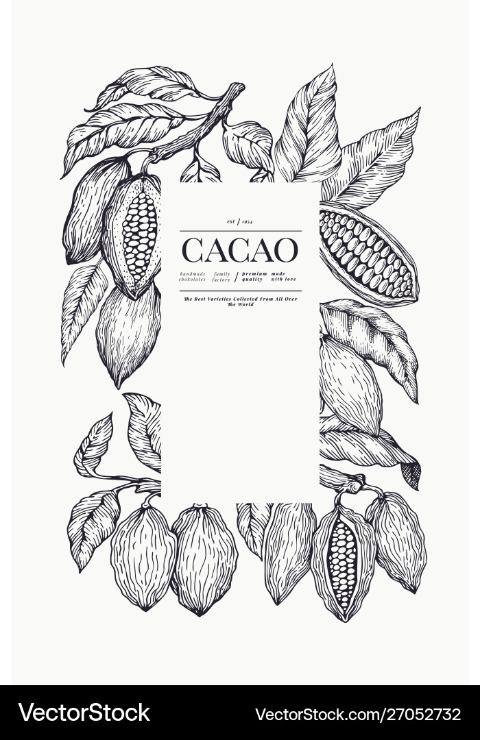 Cocoa banner template chocolate beans Royalty Free Vector