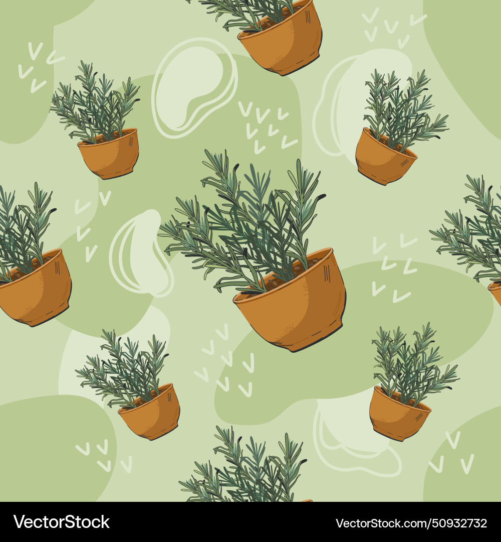 Seamless pattern featuring the aromatic herb Vector Image