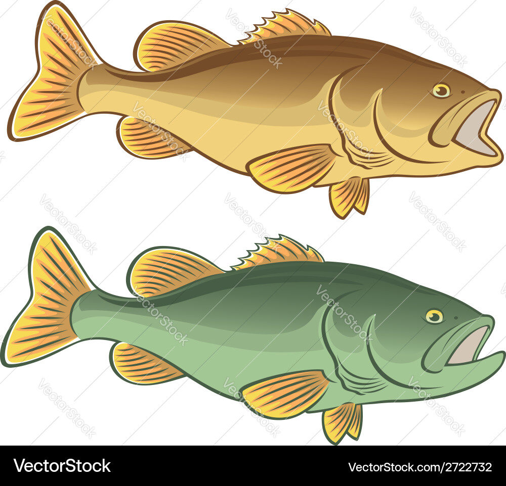 Various Fish Species Royalty Free Vector Image